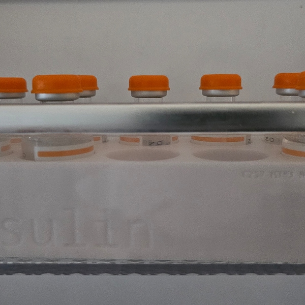 Keep Your Insulin Pen Carts Safe With Our Pen Cart Carry Case - Etsy