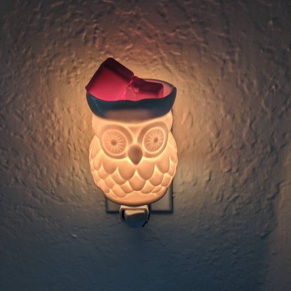 EBM Creations Sun Kissed Plumeria Scented All Natural Soy Wax Melts 6 ...