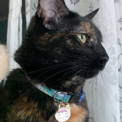 Meowhaus Cat Artist Enamel Pin - Etsy