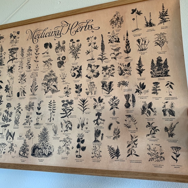 MEDICINAL HERBS Poster, 100 Plants for Holistic Medicine, Handmade With ...