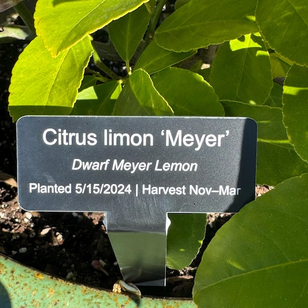 Personalized Acrylic Plant Tag With Stake | Engraved Garden Marker | UV ...