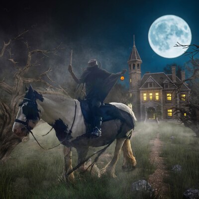 Wedding Digital Backdrops Wedding Backgrounds Portrait - Etsy