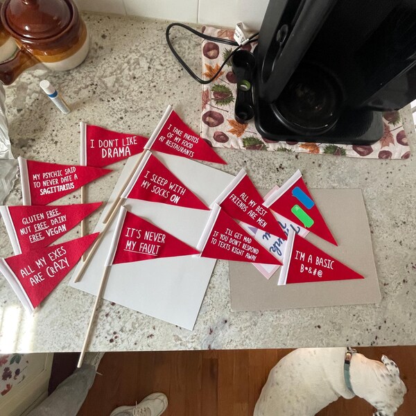 Custom Mini Pennant, Waving Hand Flag, Small Triangle Pennant Flag ...