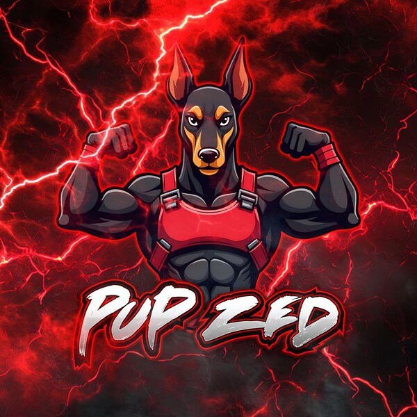 I Will Design Custom Professional Gaming Banner and Cover Photo for E ...