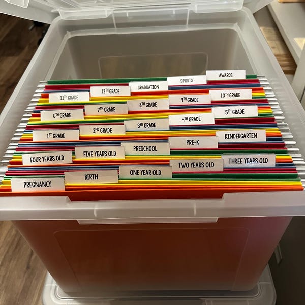 Printable Memory Box Filing System L Keepsake Box L Milestone Tote ...