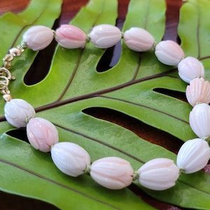 Pink Queen Conch Shell Rosespink Mother of Pearl Shell - Etsy