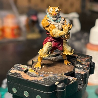 Tabaxi Monk, Male Fantasy Miniature Dungeons and Dragons Dnd Miniature ...