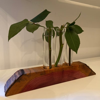 Black Walnut Propagation Set of 3 / Hydroponic Rooting Vases / - Etsy