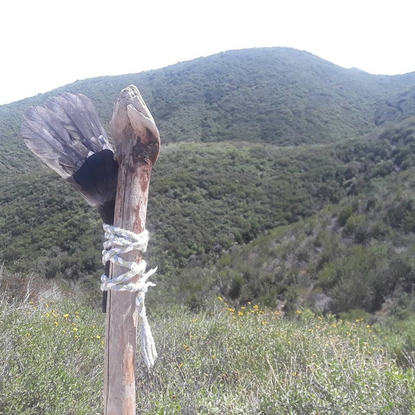 Raven, Crow Feathers Smudge Fan_witchcraft_shaman_wiccan_pagan_altar ...