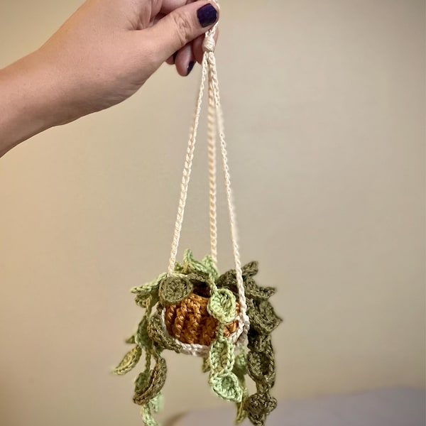 Tiny Pothos Crochet Pattern Bundle | Pothos Jade, Monstera and String ...