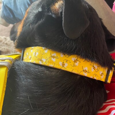 Yellow Bumblebee Dog Leash Buzzing Bees Fabric XS Mini Puppy - Etsy