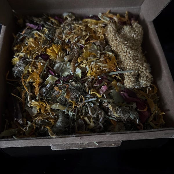 Forage Box | Rabbits, Guinea Pigs, Hamsters, Rats - Etsy UK