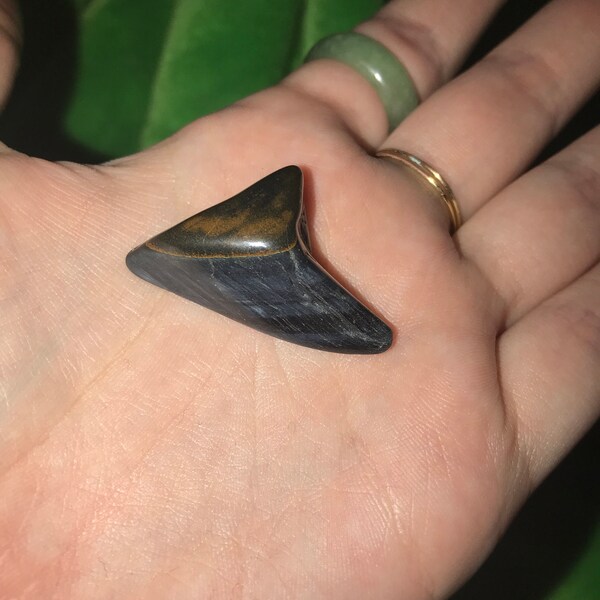 Blue Tigers Eye Tumbled Stone - Multiple Sizes Available - Tumbled Hawk ...