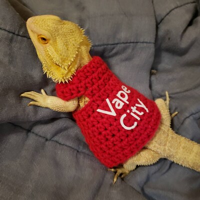 Teal White and Orange Tortoise Diaper - Etsy