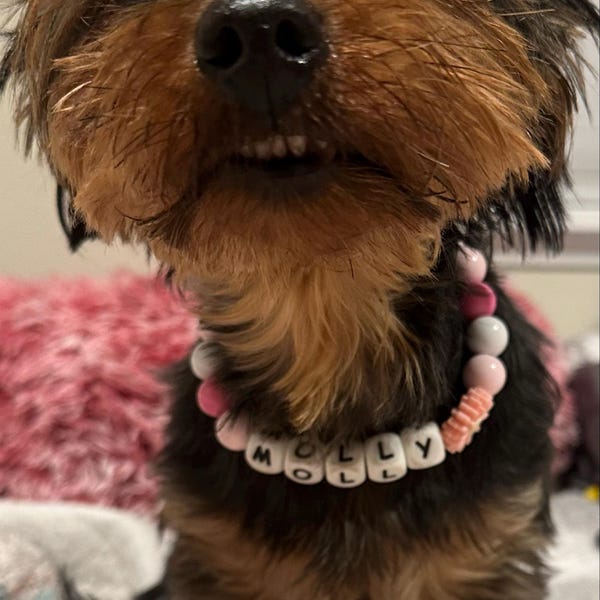 Personalized Dog Collar With Name,bead Dog Collar, Custom Dog Collar ...