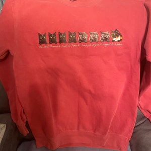 Everything is Under CTRL Comfort Colors Shirt, Computer Programmer T-shirt, Computer Science ...