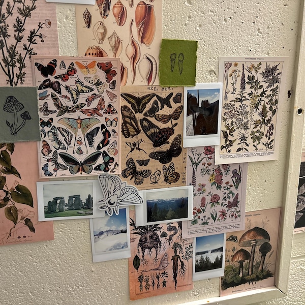 Natural Botanical Aesthetic Wall Collage Kit- 20 Physical Prints - Etsy