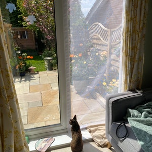 Custom Flat Cats Window Screens Mesh Window Protection for | Etsy