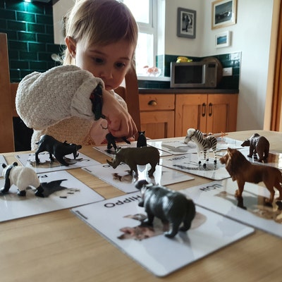 Wild Animals Montessori 3 Part Cards Montessori Home School Educational ...