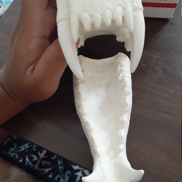 Werewolf Wolf Jaws Teeth Mask Costume Fursuit - Etsy