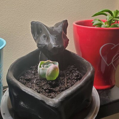 Large Bat Succulent Planter Gothic Home Garden Decor 3D Printed - Etsy