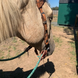 Complete Teal Bosal Bitless Bridle Set Rawhide Bisal and Teal - Etsy
