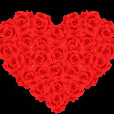 A Fallen Limb Poem, 5x7 Bereavement Sympathy Card, Funeral Poem, Loss ...