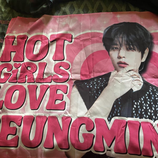 SKZ Seungmin Hot Girls Concert Banner, Stray Kids Members Kpop Flag ...