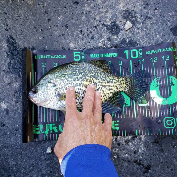 6 Pack Sitka Hunting Gear Vinyl Decal Sticker [9" W X 5" H ...