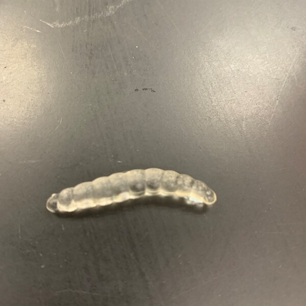 Maggots Worms Silicone Mold-cupcake Decoration Mold-fondant Cake Mold ...