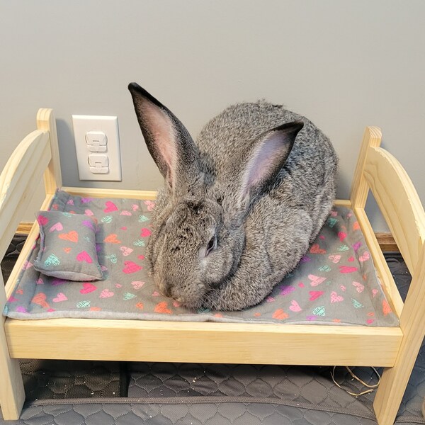 Bunny O's Cereal Treat, Rabbit Fruit Loops Inspired Treat, Small Animal ...