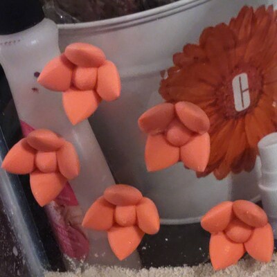 Hermit Crab Enrichment Tiny Cinder Block Food Hides Set of 10 - Etsy