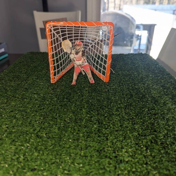 Mini Tabletop Lacrosse Net - Etsy