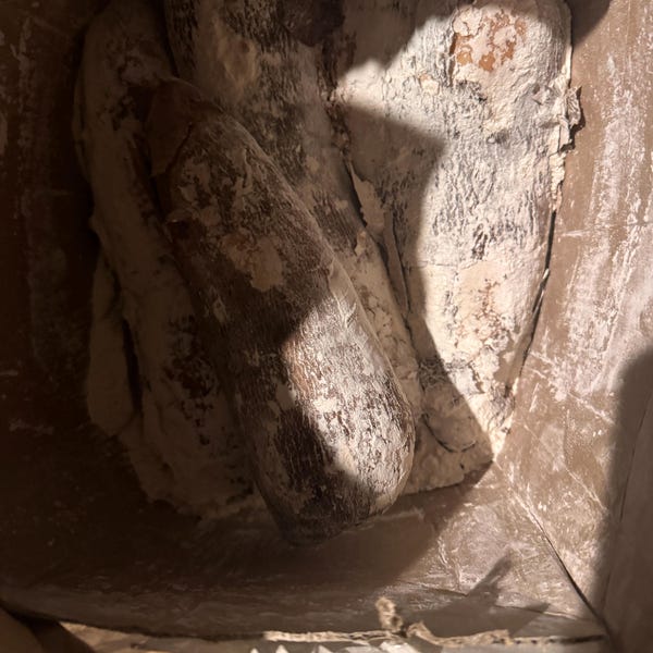 Dried Bonga Fish , Agbodo Fish 14pieces (big), Wild Caught Fish, Dry ...