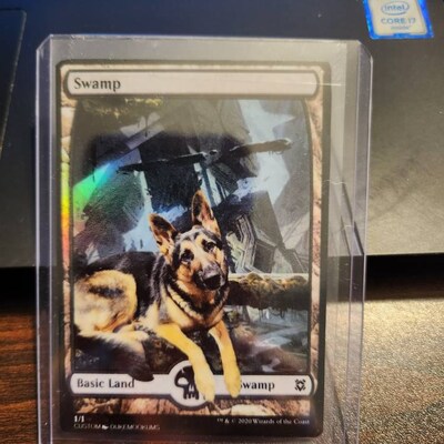Personalized Pet Magic the Gathering Foil Land - Etsy