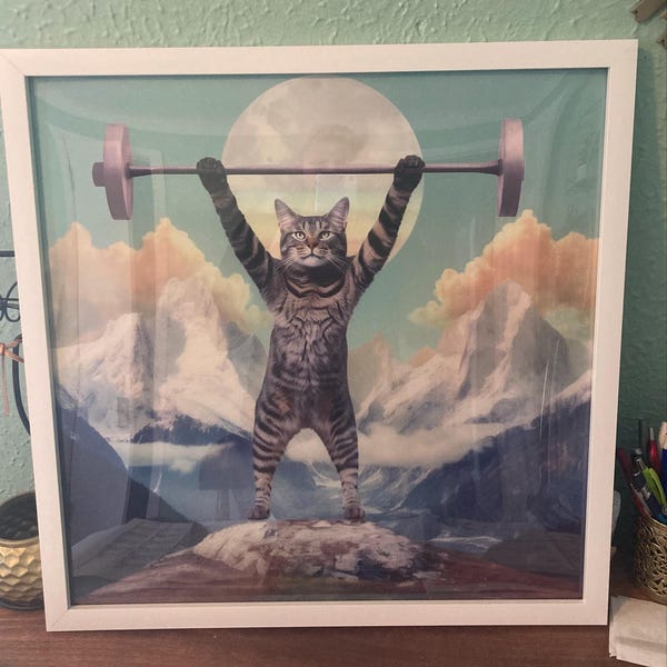 Eclectic Cat Poster, Digital Download - Weird Cat Wall Art - Art for ...