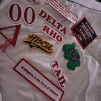 Delta Sigma Theta "duck-walk" Patch - Etsy Canada