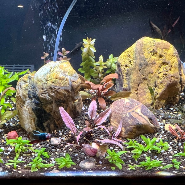 Aquarium Stones Aquascaping Rocks Aquarium Hardscaping Aquarium Gravel ...