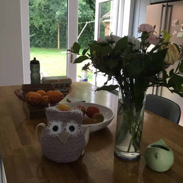 Owl Tea Cosy, Knitted Tea Cosy, Owl Gifts, Hand Knitted Tea Cosy, New ...