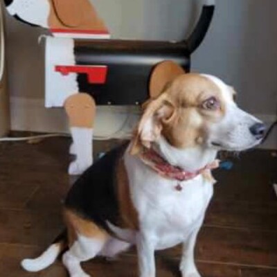 Beagle Dog Mailbox - Etsy