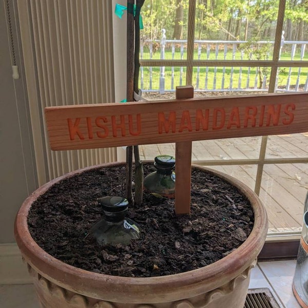 ORANGES Sign, Tree Sign, Citrus Sign, Fruit Marker, Outdoor Sign, Yard ...