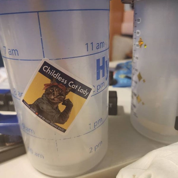 Childless Cat Lady Sticker | Kamala Harris 2024 | Funny Cat Sticker ...