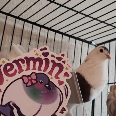 Hatogotchi Shaker Charm 3 Acrylic Front Side Epoxy Pigeon Keychain Bag ...