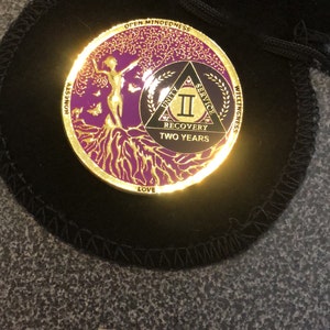 Silver and Black Raider Pirate Yearly 1-50 Alcoholics Anonymous AA ...