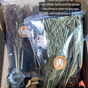 Flax Spray Dried Flax Stems Hamster Flax Bird Flax Hamster - Etsy UK