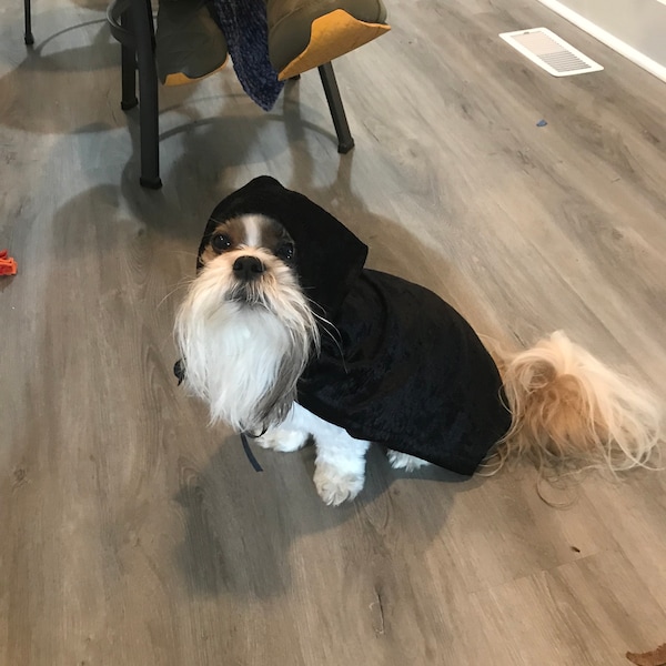DOG Cape With Hood - Etsy