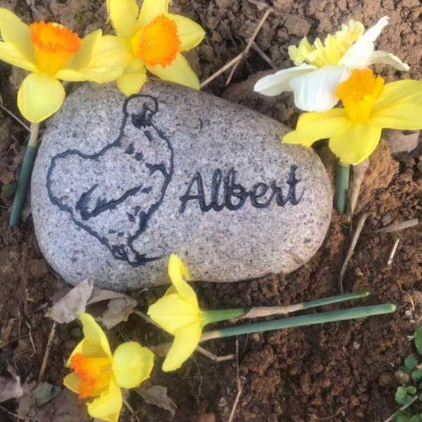 Chicken Pet Memorial Stone, 5”/6" Only, Hen, Rooster, Silkie, Outdoor ...