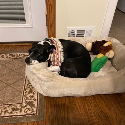 Curriculum Maps for Homeschooling Pre-k-10th Visual Lesson Planning ...