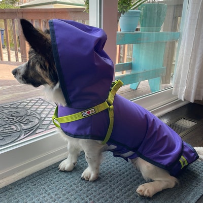 Corgi Rain Jacket - Etsy