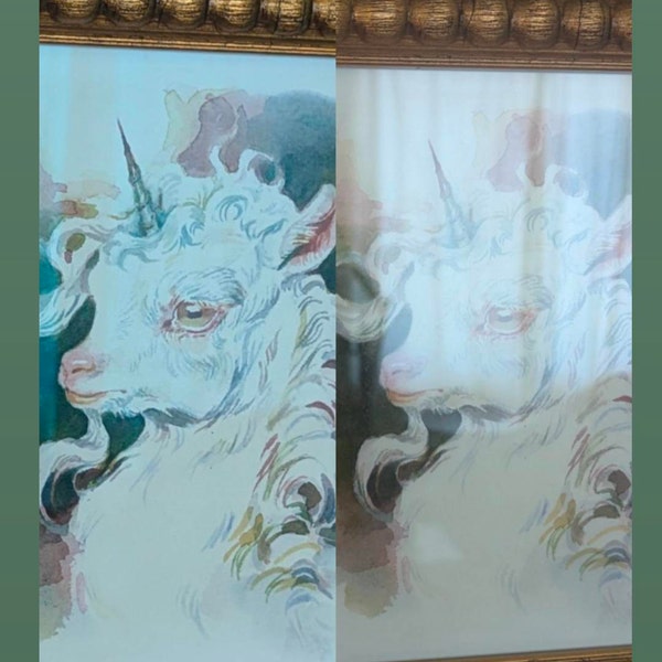 Tru Vue AR Reflection-free Glass - Filters 78% of UV Rays- Upgrade Add ...